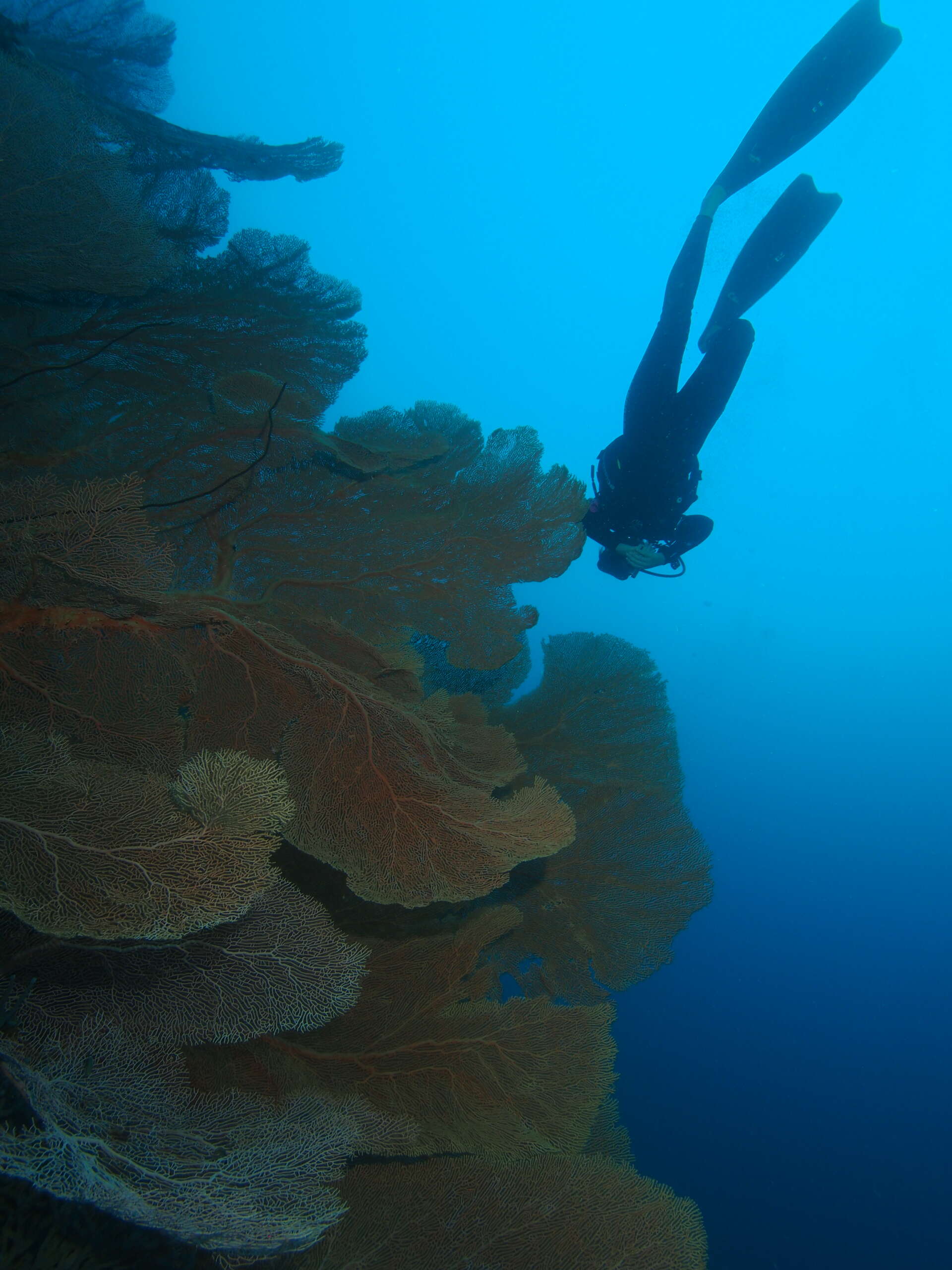 DESTINATION SUD… - Menabe Plongée